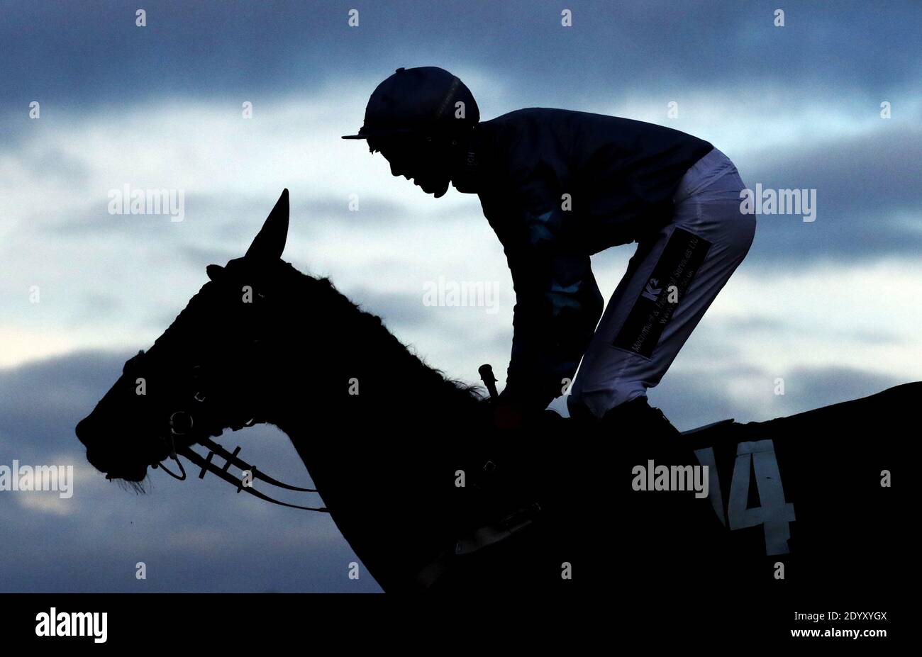 Buzzkillbob ridden by Nathan Moscrop at Catterick Bridge Racecourse ...