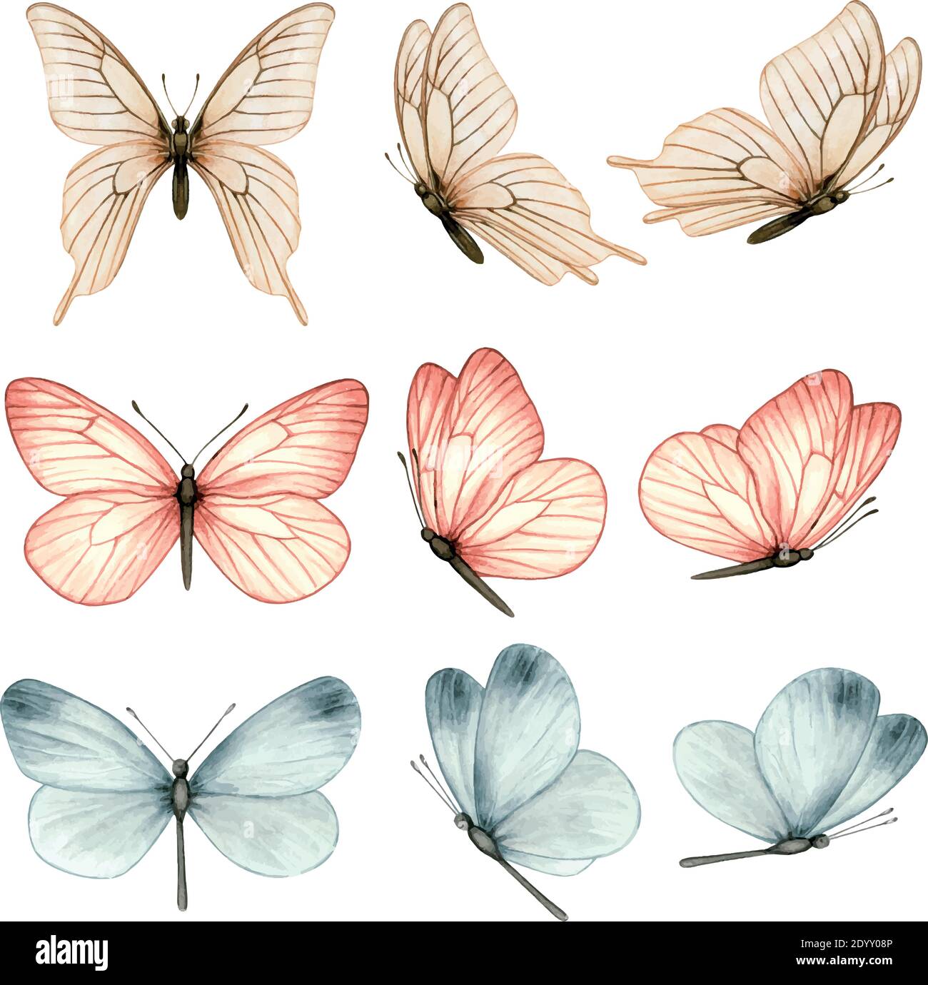Beautiful watercolor butterfly collection in different positions Stock ...