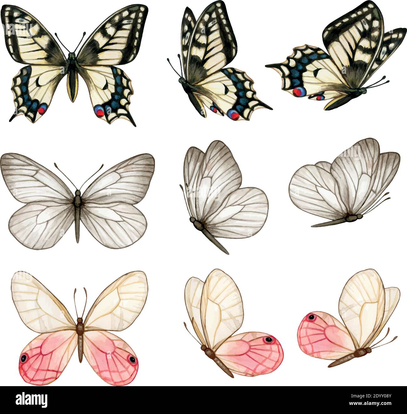 Beautiful watercolor butterfly collection in different positions Stock ...