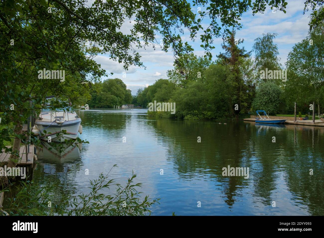 River thames surrey landscape hi-res stock photography and images - Alamy