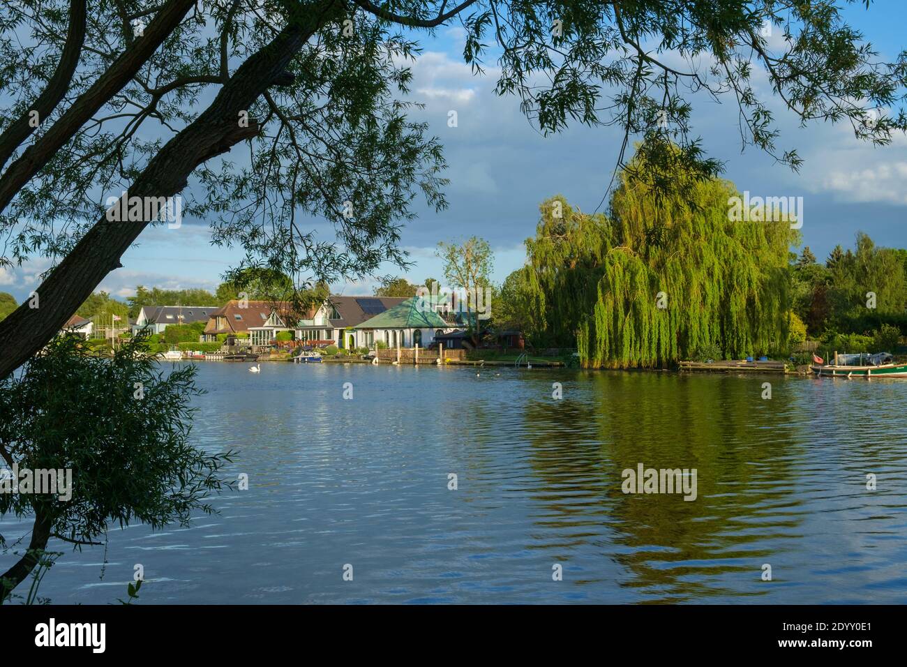 The River Thames at Shepperton, Surrey, UK Stock Photo - Alamy