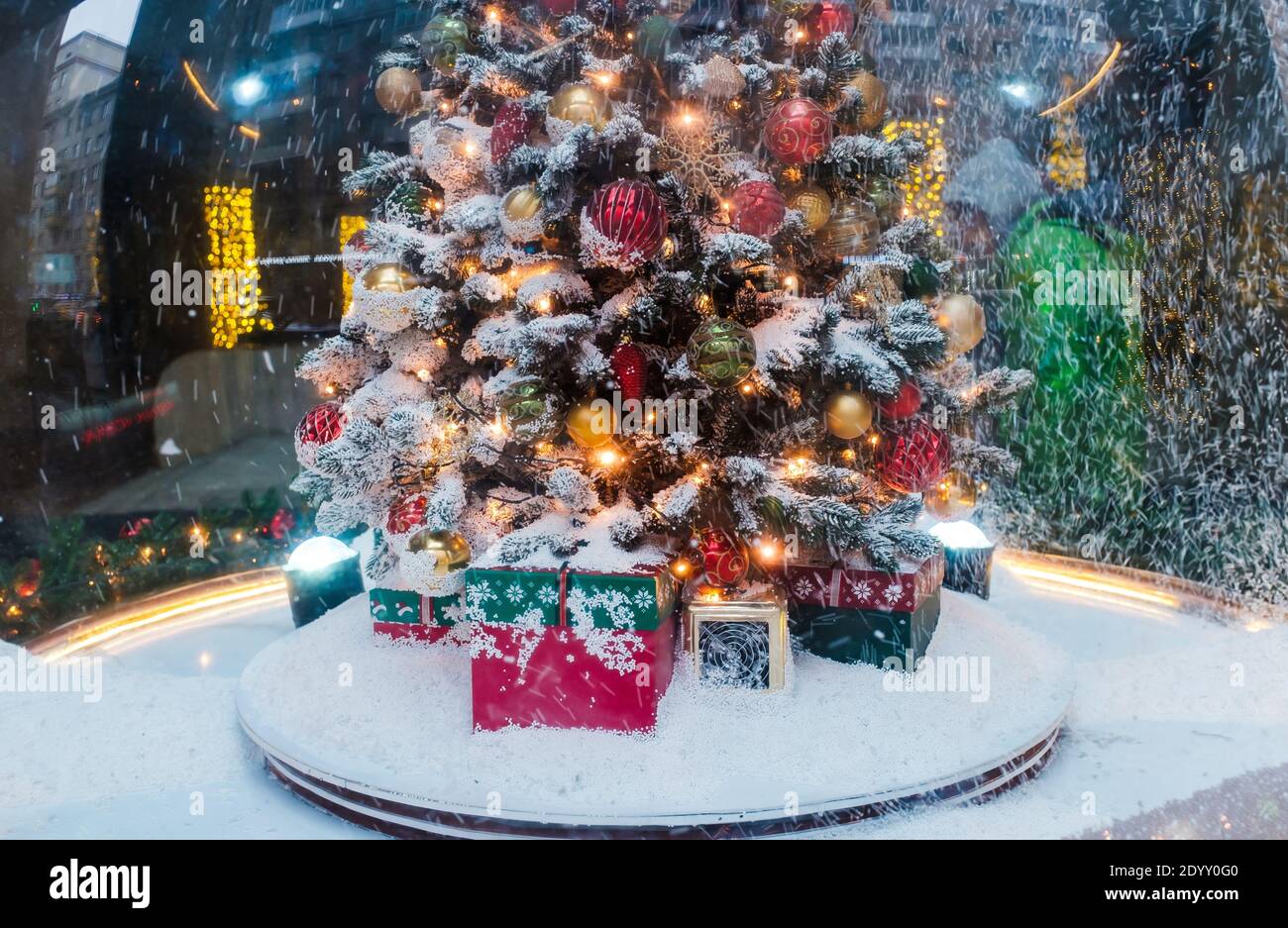 A Christmas tree with gifts underneath, covered with freshly fallen ...