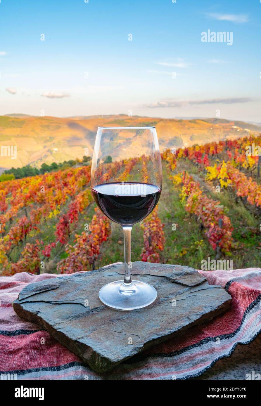 Glass of Portuguese red dry wine, produced in Douro Valley and colorful ...