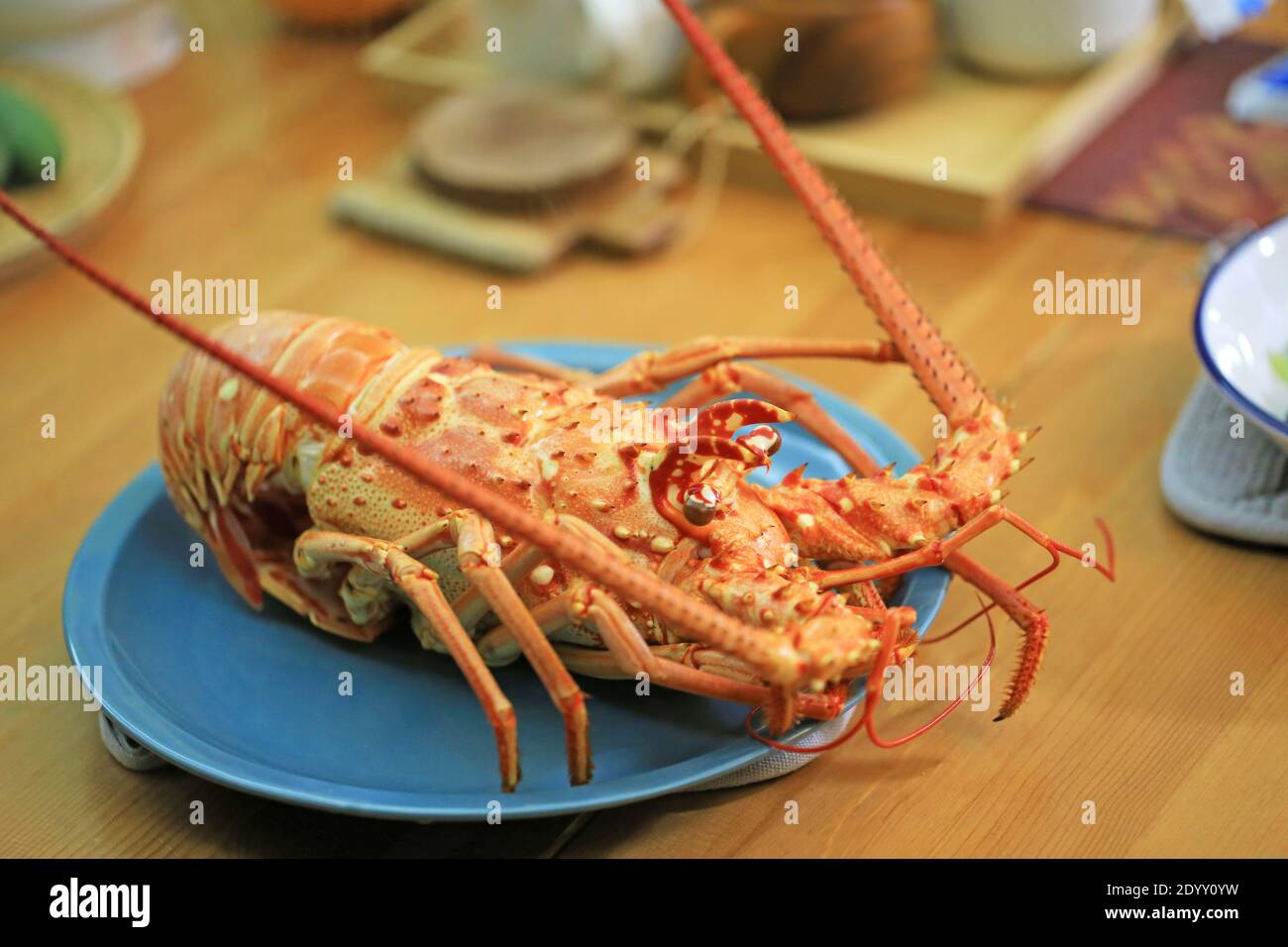 western rock lobster on the table Stock Photo - Alamy