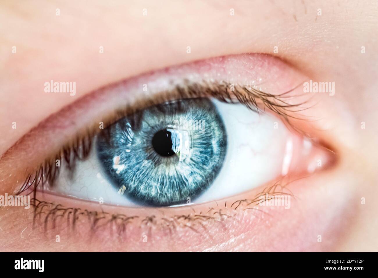 Blue eye, human eye iris close-up. Looking into the eye. Visible ...
