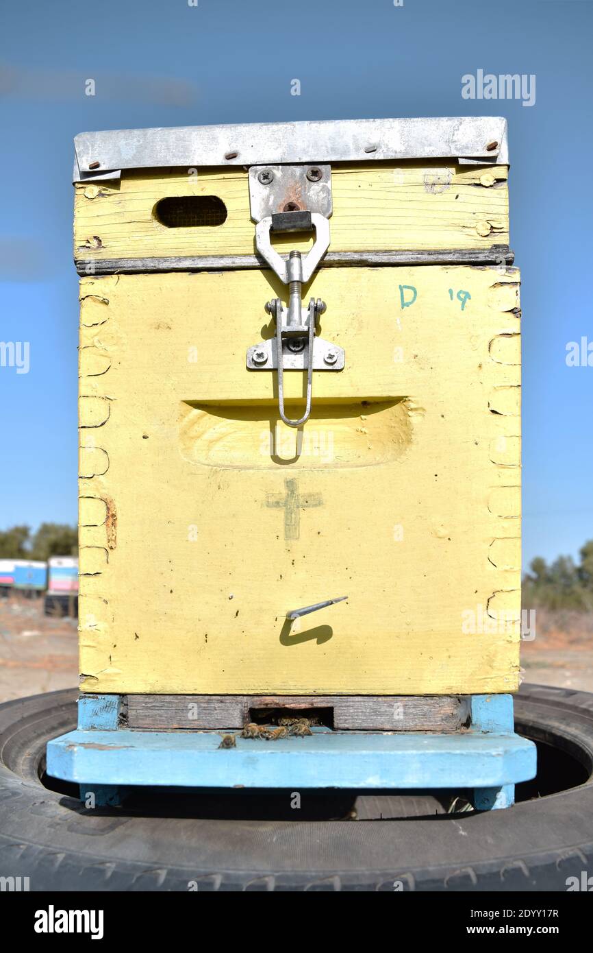 Honey Bees landing in the hive Stock Photo - Alamy