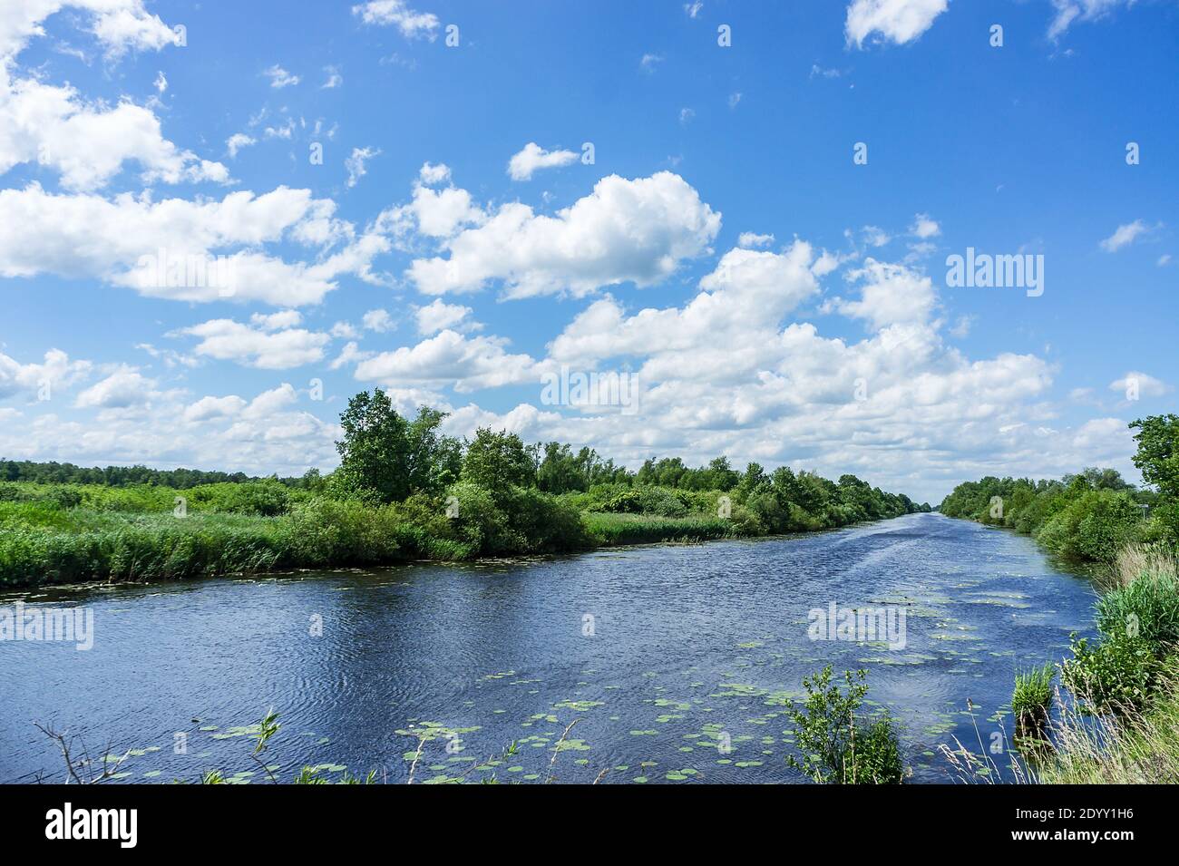 forest lake or river or channel, surface of a natural reservoir Stock ...