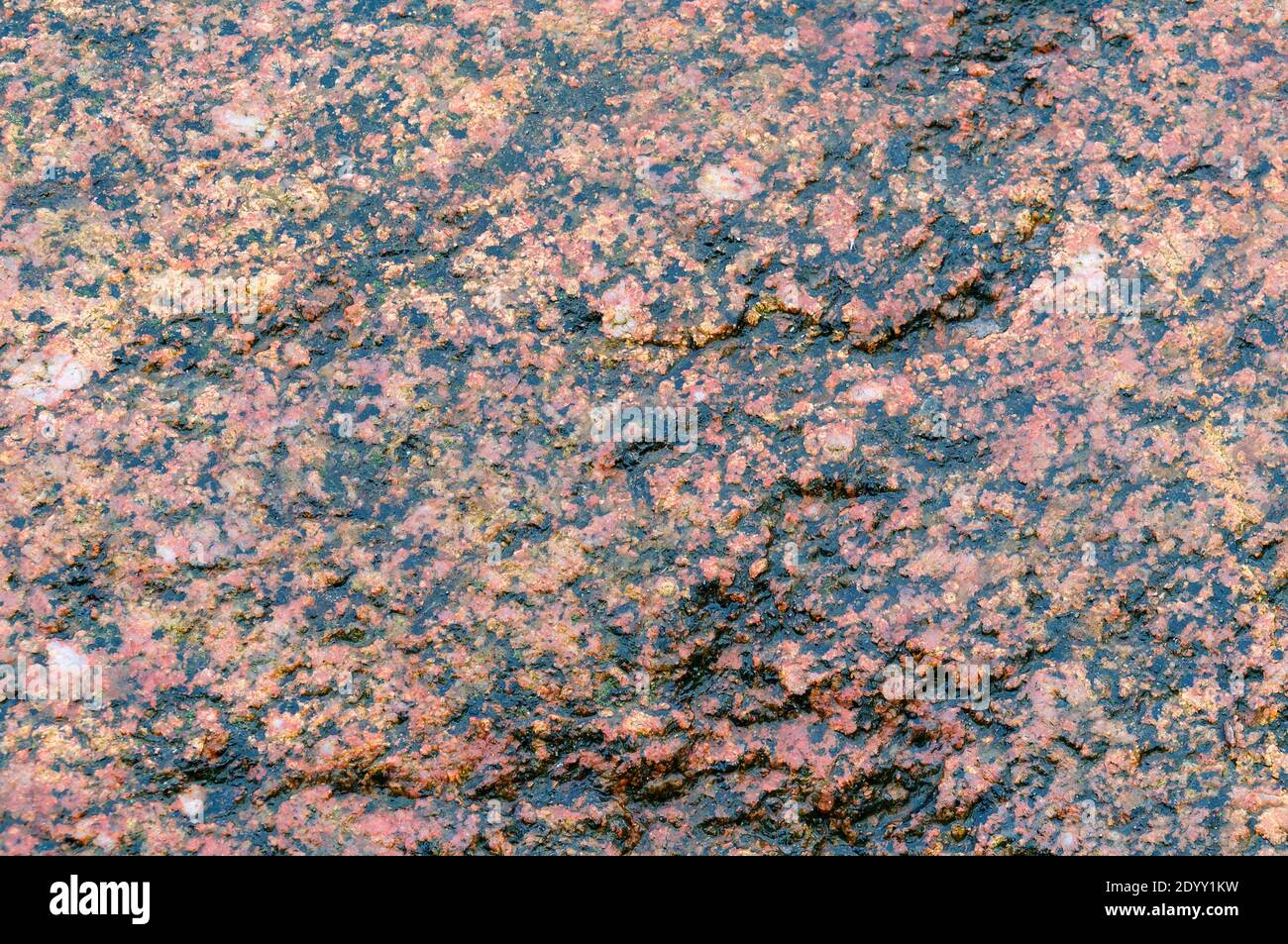 sea stone texture, natural stone background Stock Photo - Alamy