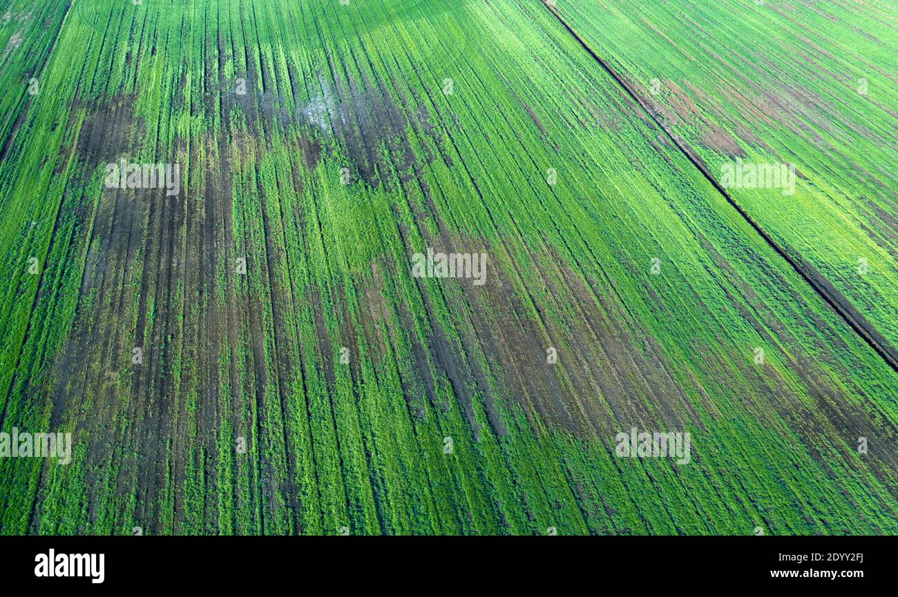 Drought crops failure hi-res stock photography and images - Alamy