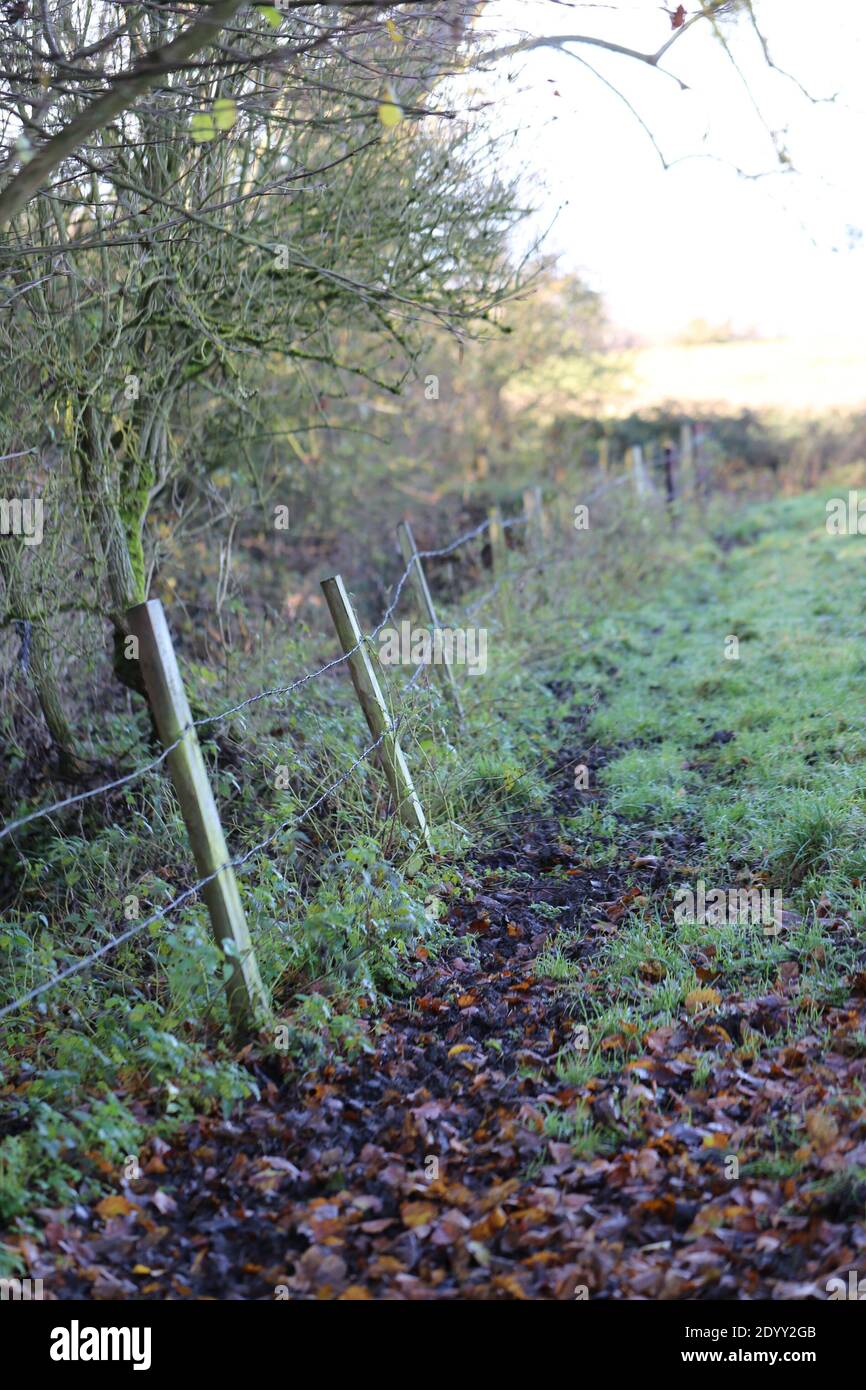 Rural Landscapes, taken at a local farm alongside a public foot path ...