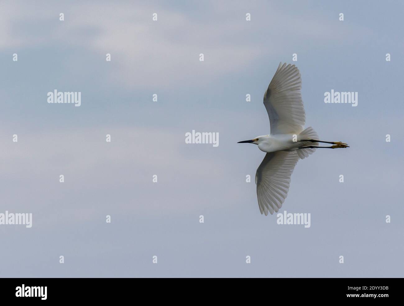 Delaware native american hi-res stock photography and images - Alamy
