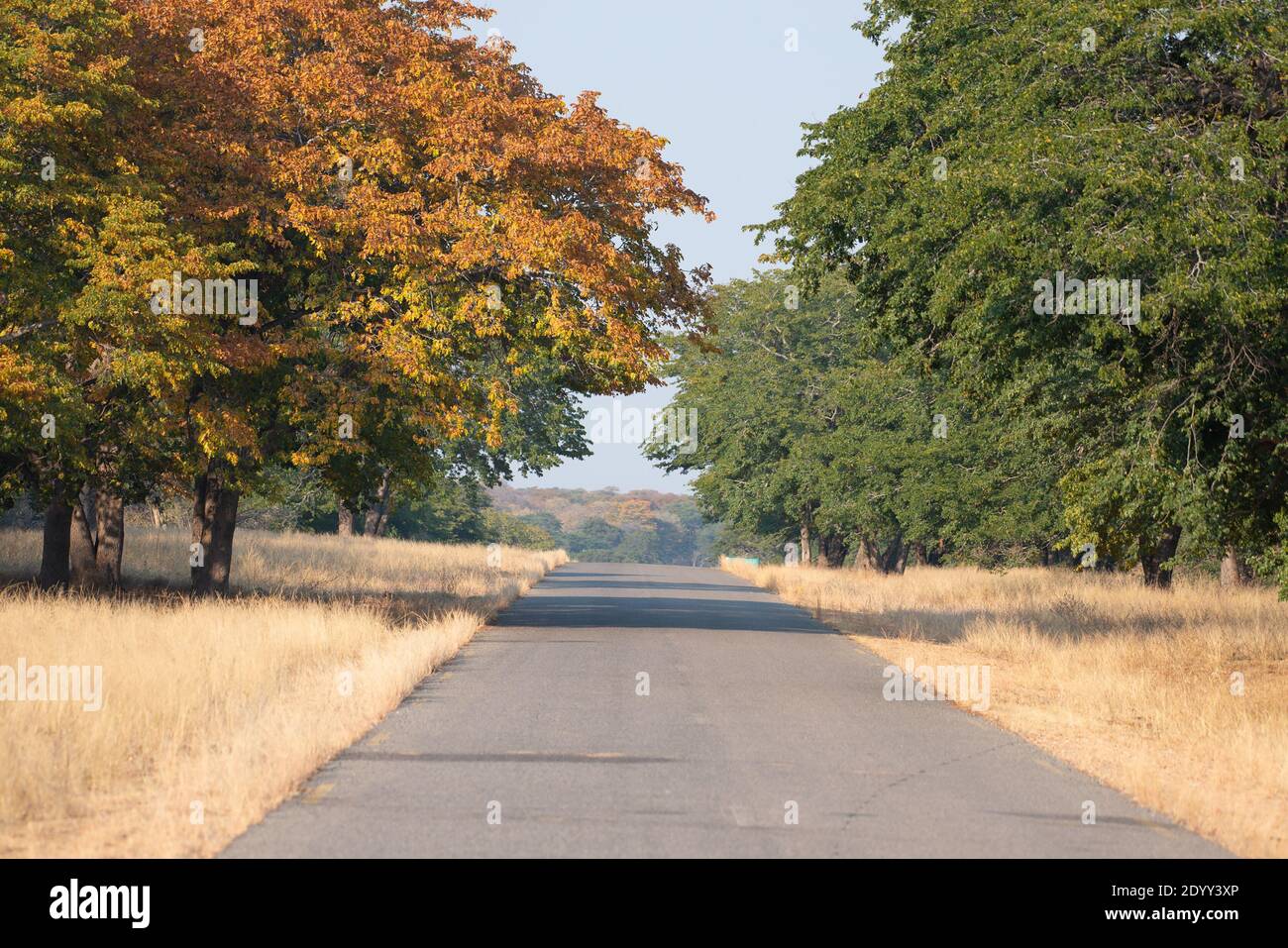 Khula hi-res stock photography and images - Alamy