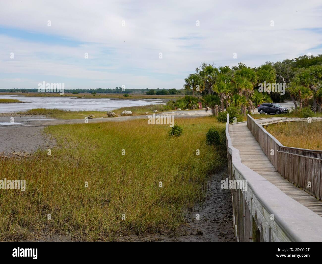 Board walk, pier, across salt marsh, at low tide, in the Shell Mound ...