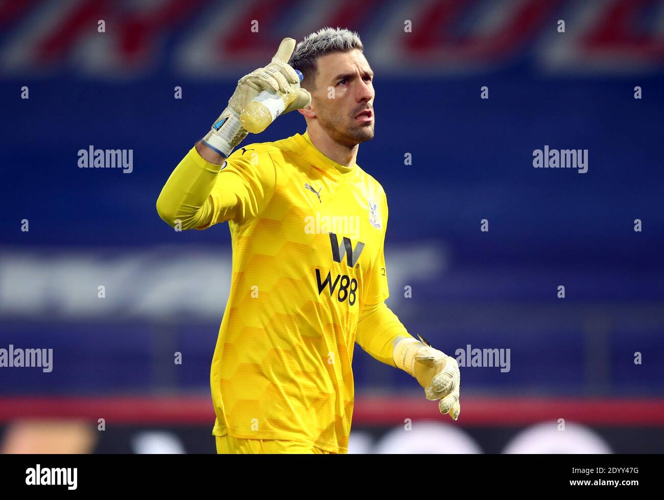 Crystal Palace goalkeeper Vicente Guaita during the Premier League ...