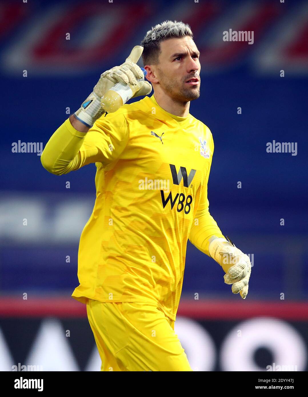 Crystal Palace goalkeeper Vicente Guaita during the Premier League ...