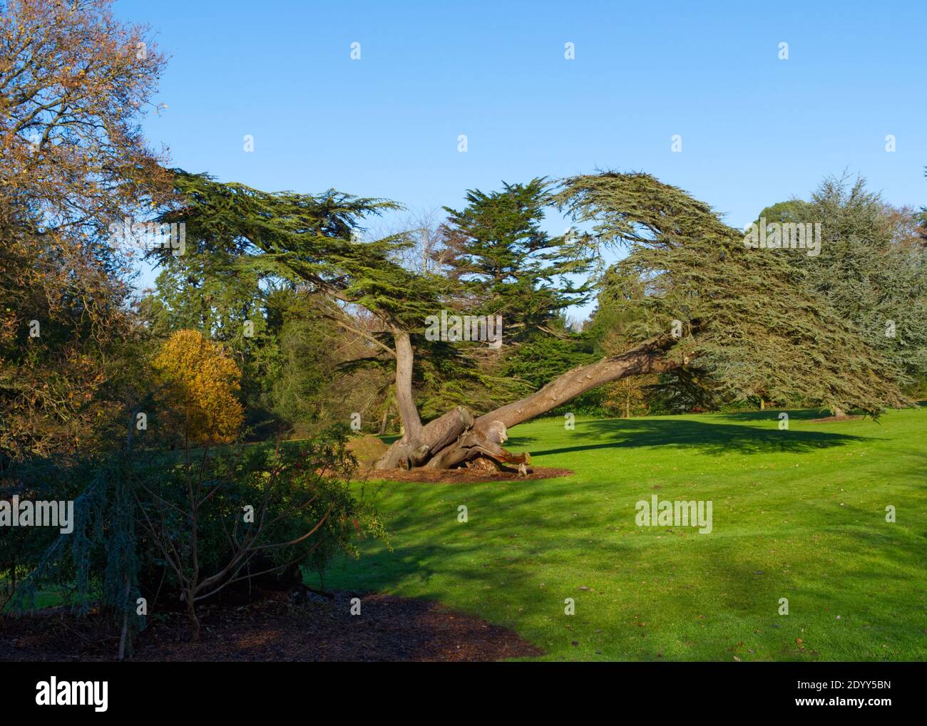 Wall Hall Estate, Aldenham Abbey, UK. Magnificent Estate of Woodland ...