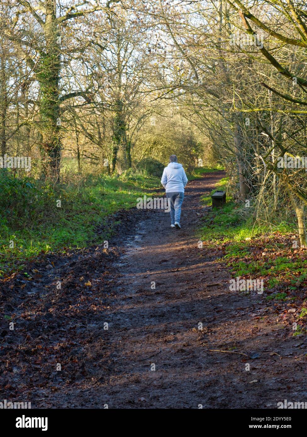 Wall Hall Estate, Aldenham Abbey, UK. Magnificent Estate of Woodland ...