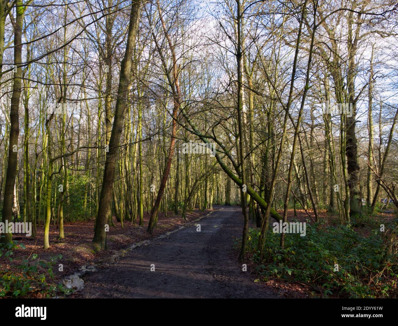 Trent Park Country House & Park, Cockfosters, UK. Wood and Parkland ...