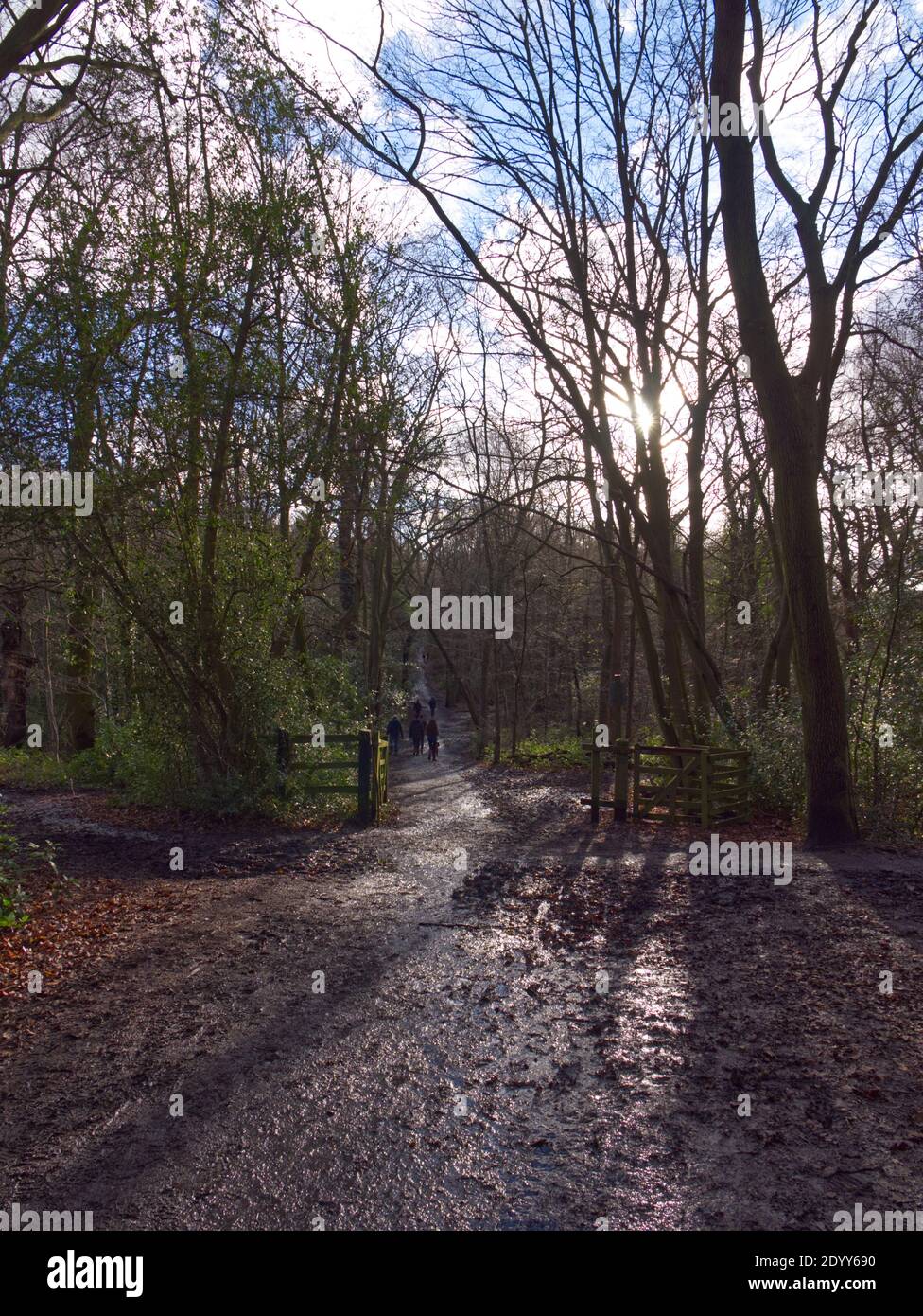 Trent Park Country House & Park, Cockfosters, UK. Wood and Parkland ...