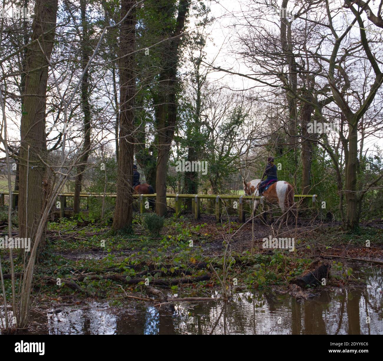 Trent Park Country House & Park, Cockfosters, UK. Wood and Parkland ...