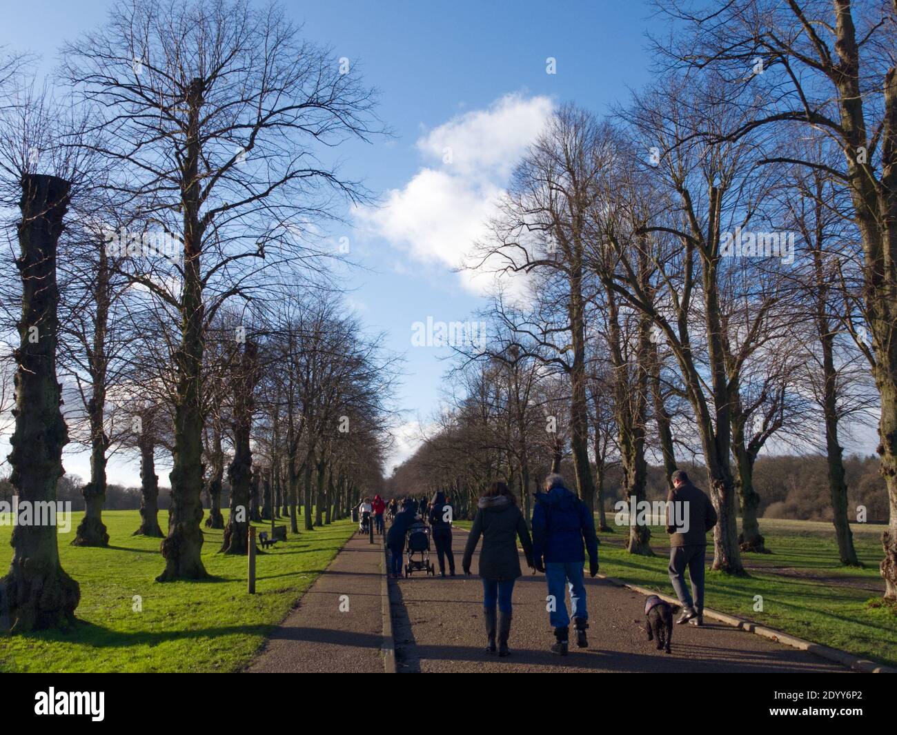 Trent park enfield hi-res stock photography and images - Alamy