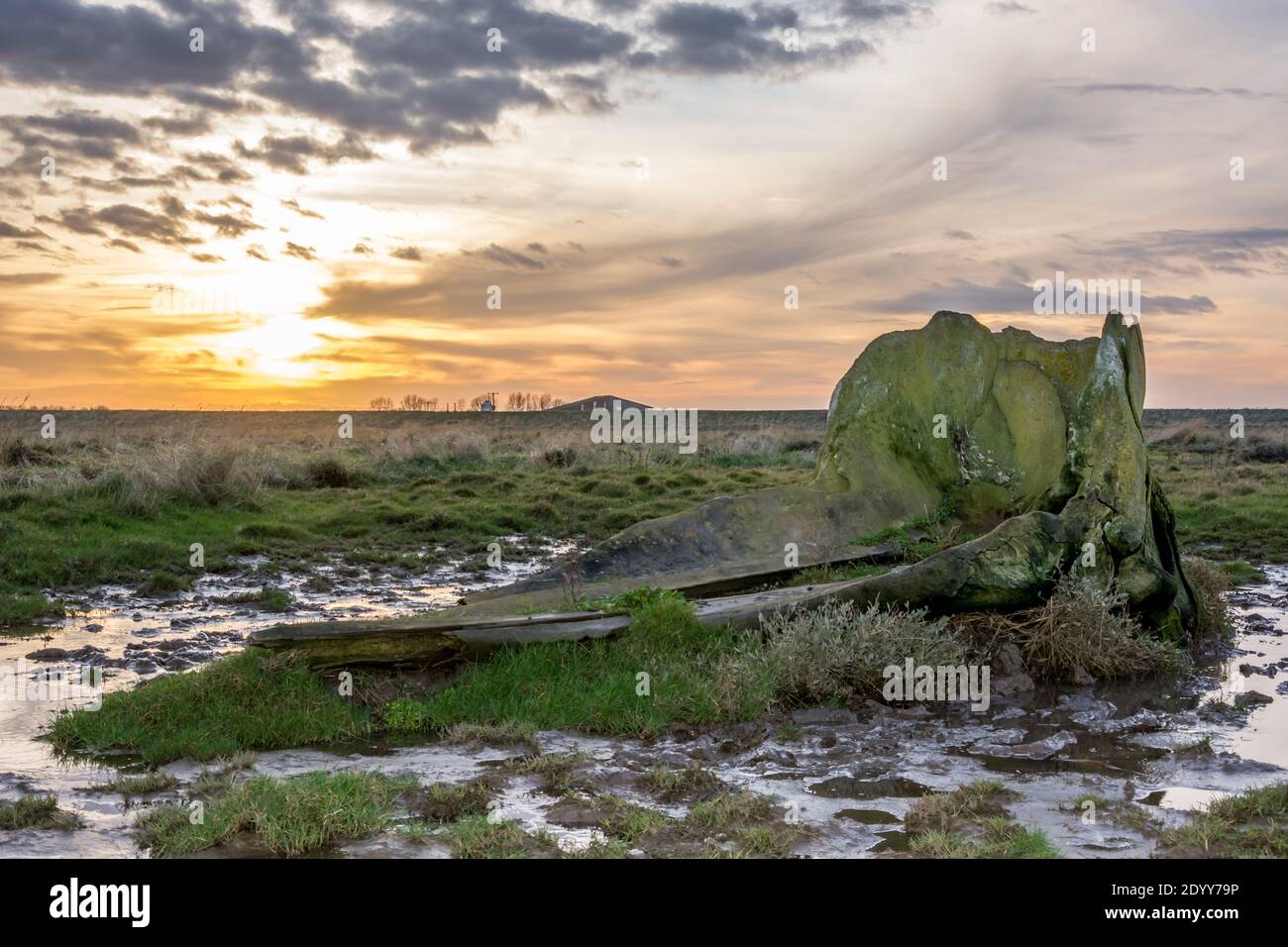 Whale jawbone, Terrington Marsh, Norfolk, UK Stock Photo - Alamy