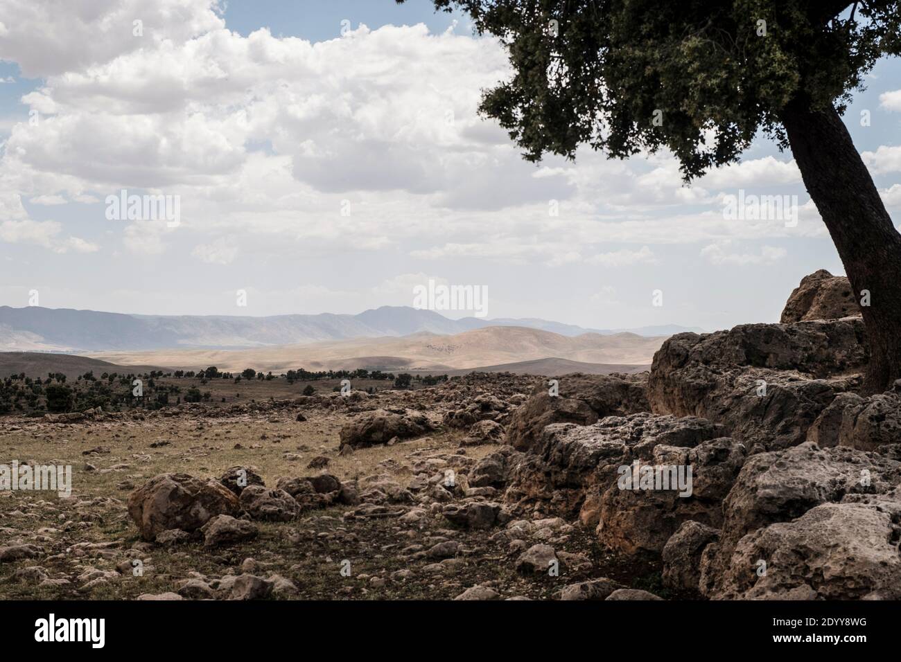 Middle Atlas plateau, Morocco Stock Photo - Alamy