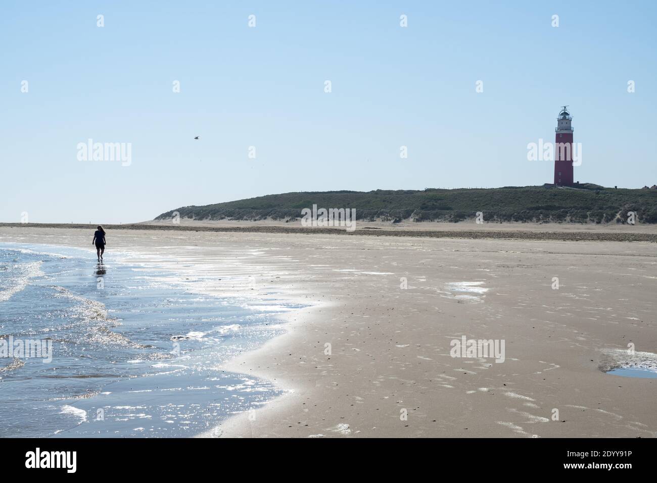 The Texel Island - Netherland island and Lighthouse with dunes, sea and ...