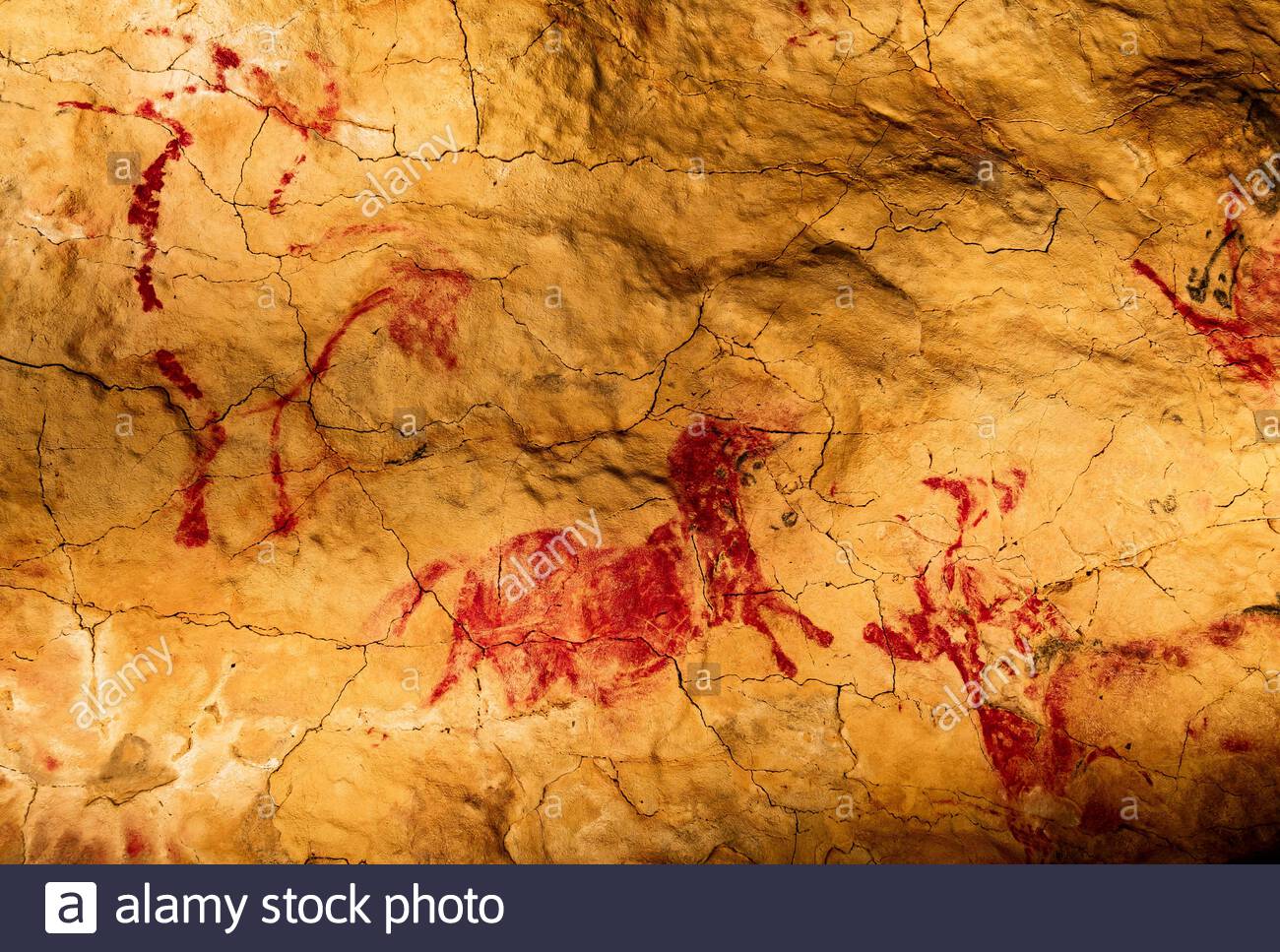 Altamira Cave High Resolution Stock Photography and Images - Alamy