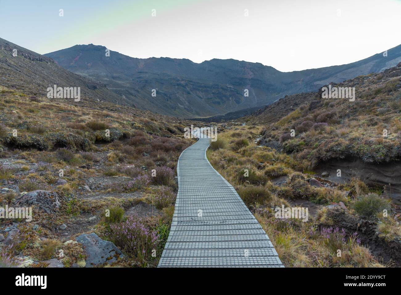 Hiking path leading through lava valley at Tongariro national park in ...