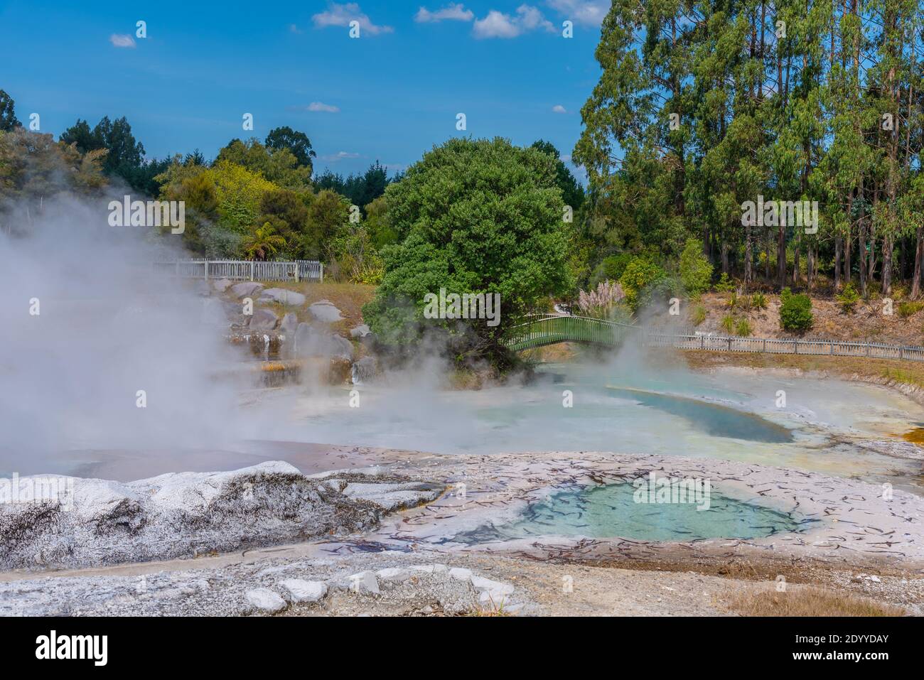 Geyser at Wairakei Terraces in New Zealand Stock Photo - Alamy