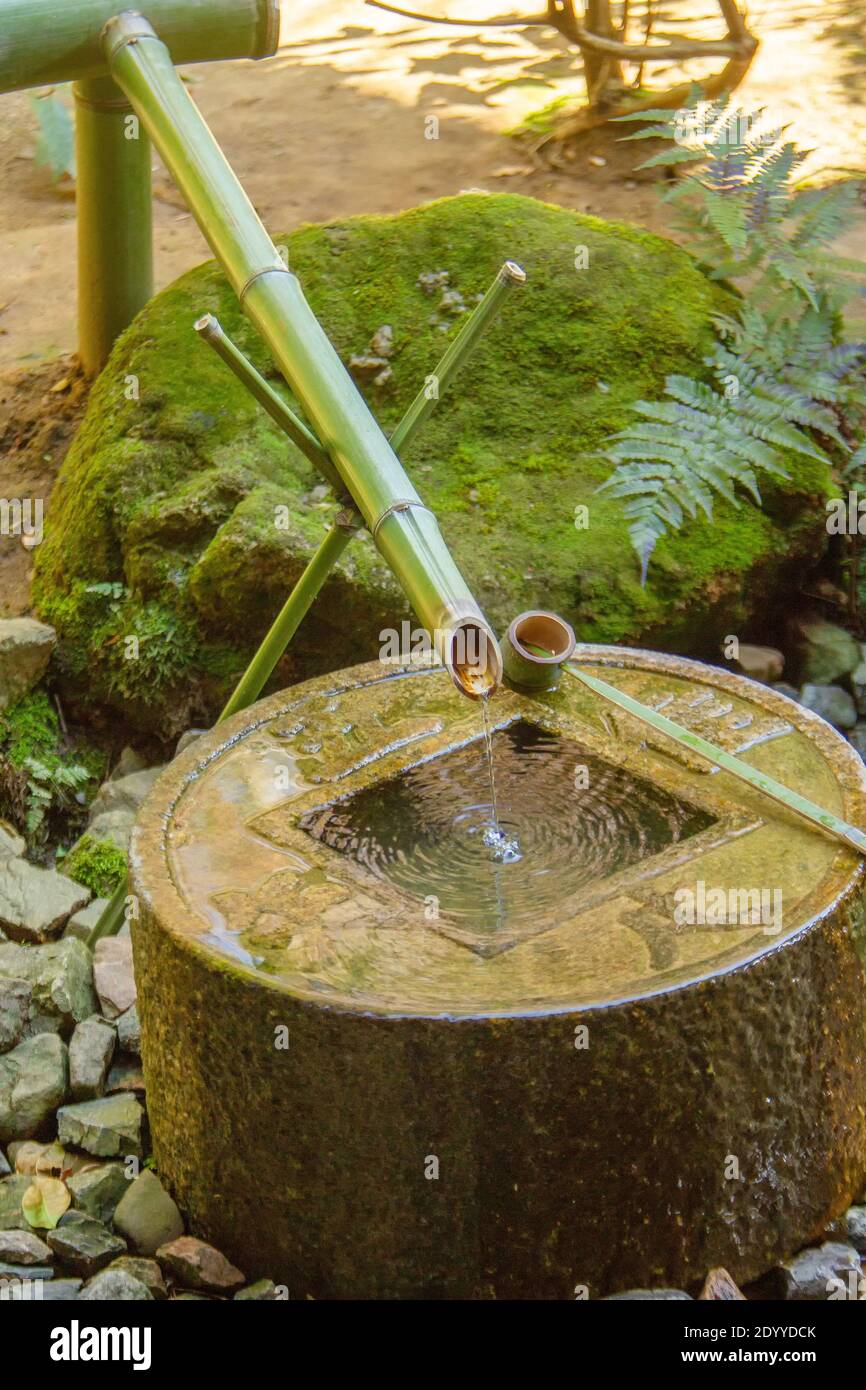 spring with bamboo pipe. Water flows from bamboo pipe Stock Photo - Alamy