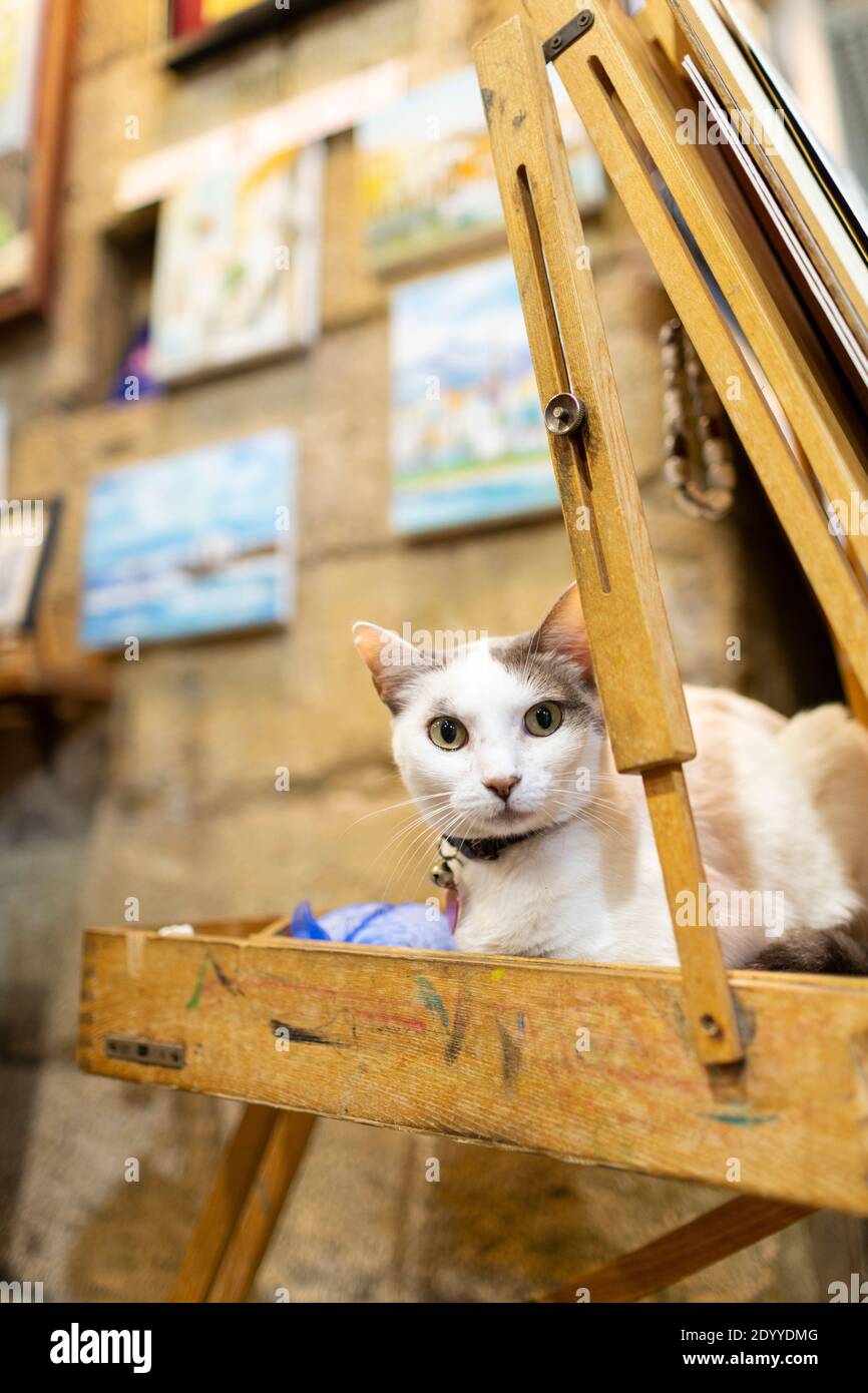 Funny paintings hi-res stock photography and images - Alamy