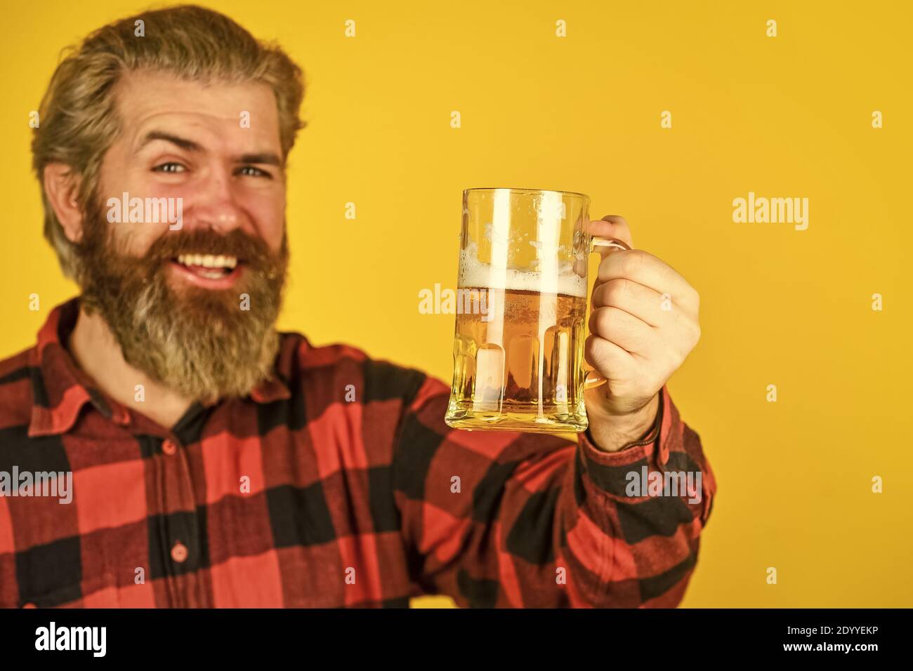 ipa beer. Stylish bartender or barman in bar. recreation. Man hold ...