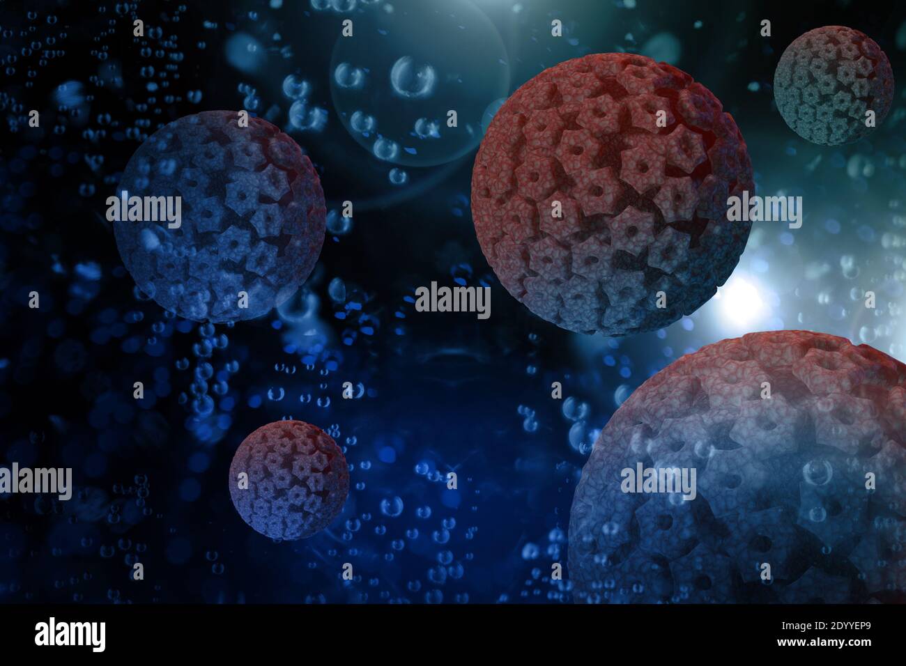 Infectious disease herpes simplex virus cells conceptual 3D ...