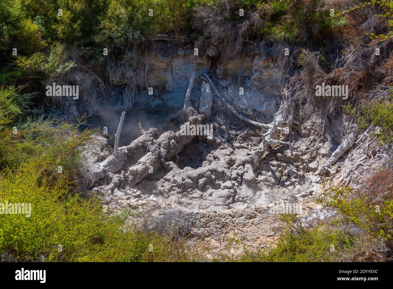 Mud pools at Orakei Korako at New Zealand Stock Photo - Alamy