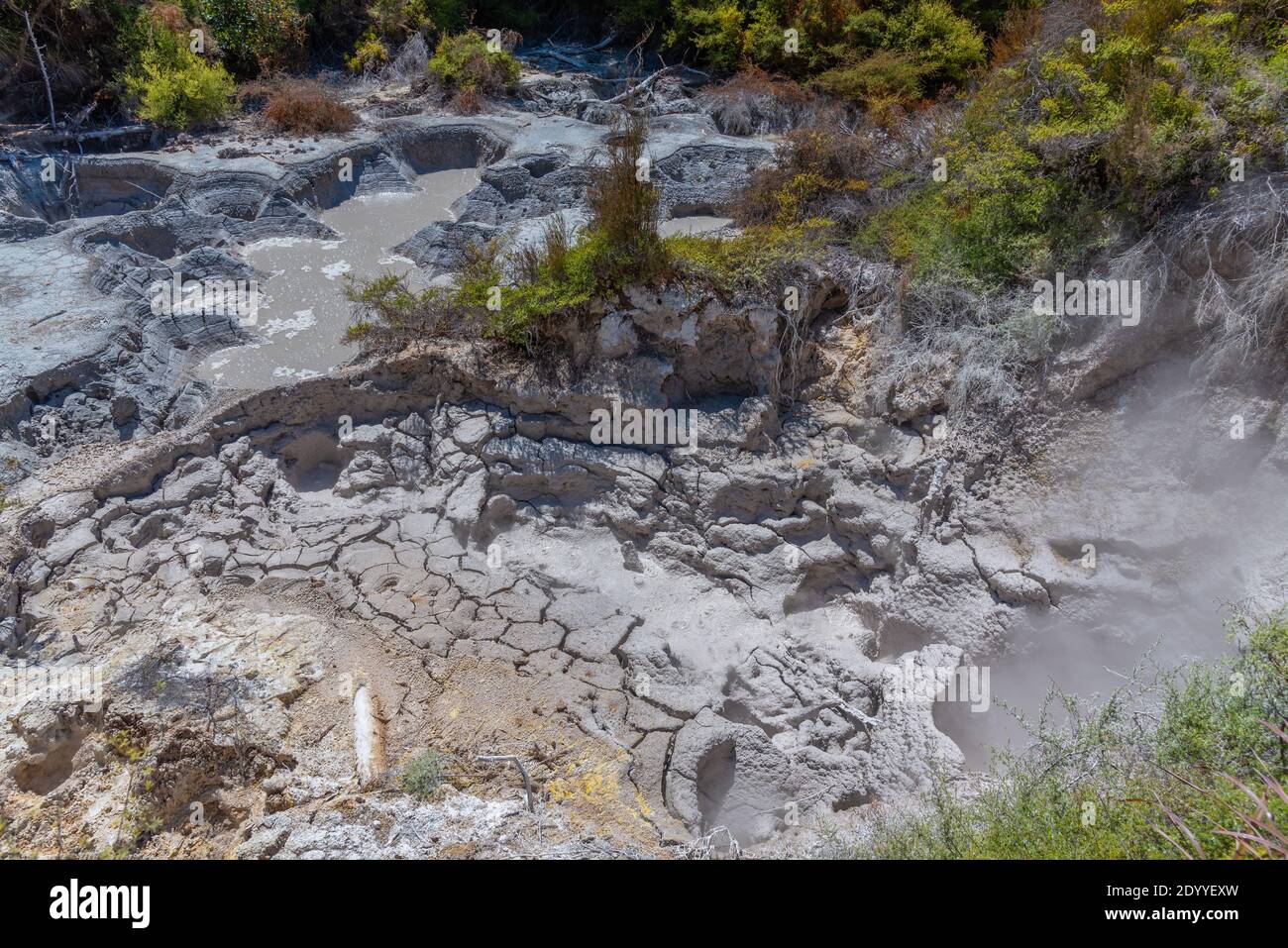 Mud pools at Orakei Korako at New Zealand Stock Photo - Alamy