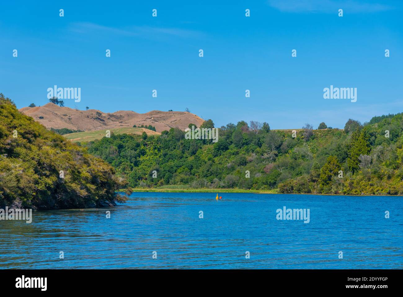 Waikato river in New Zealand Stock Photo - Alamy
