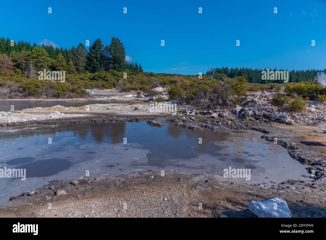 Hell's Gate Geothermal Reserve in New Zealand Stock Photo - Alamy