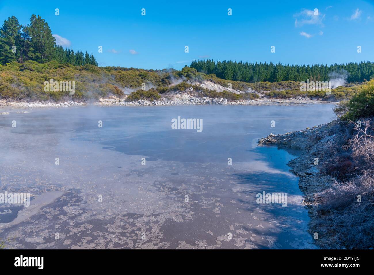 Hell's Gate Geothermal Reserve in New Zealand Stock Photo - Alamy
