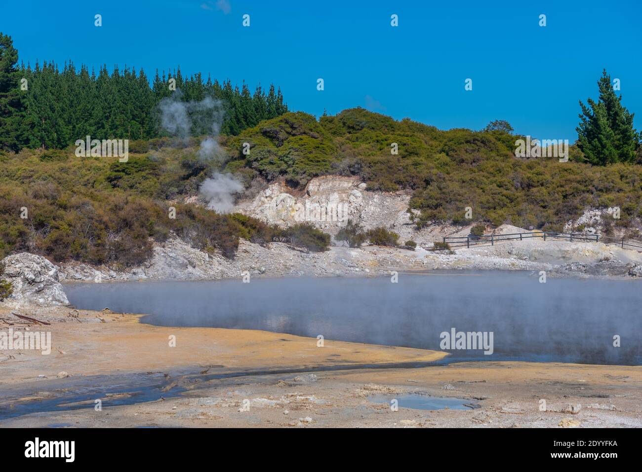 Hell's Gate Geothermal Reserve in New Zealand Stock Photo - Alamy