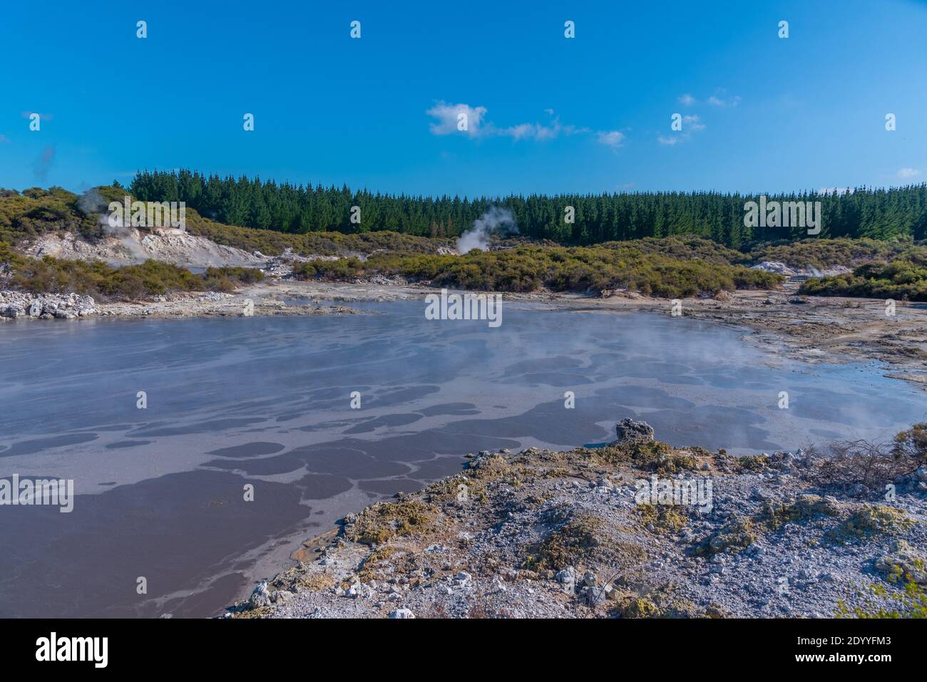 Hell's Gate Geothermal Reserve in New Zealand Stock Photo - Alamy