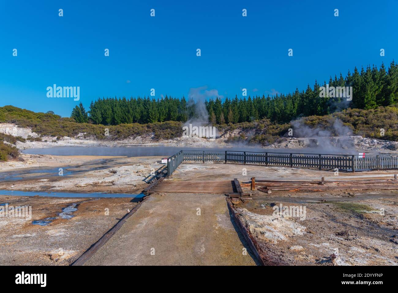 Hell's Gate Geothermal Reserve in New Zealand Stock Photo - Alamy