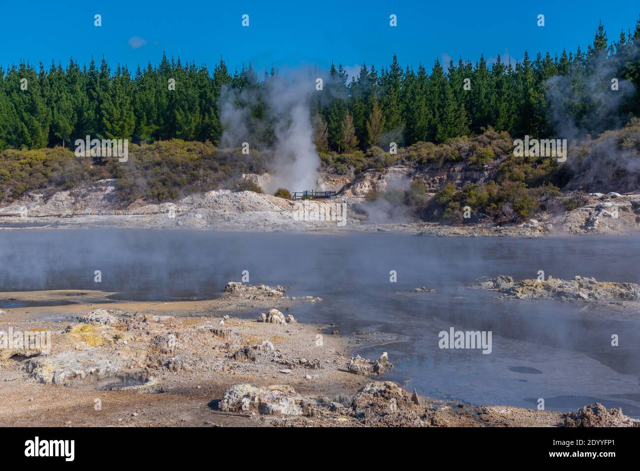 Hell's Gate Geothermal Reserve in New Zealand Stock Photo - Alamy