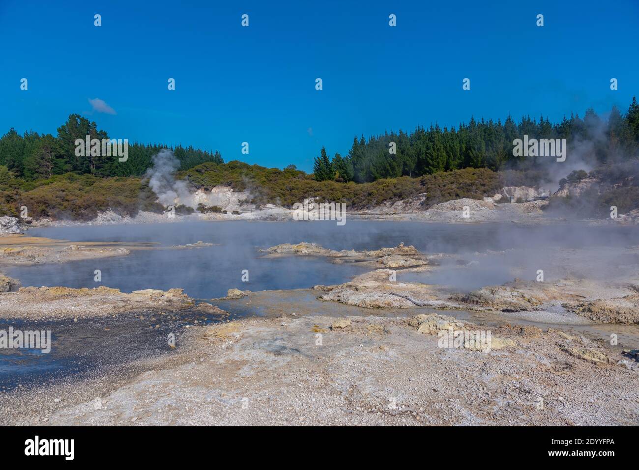 Hell's Gate Geothermal Reserve in New Zealand Stock Photo - Alamy