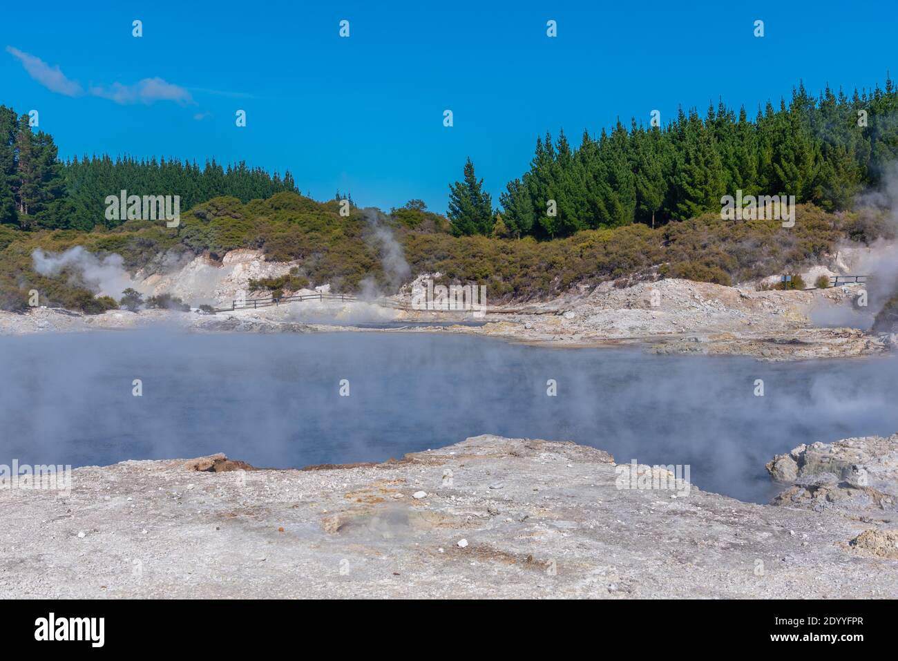 Hell's Gate Geothermal Reserve in New Zealand Stock Photo - Alamy