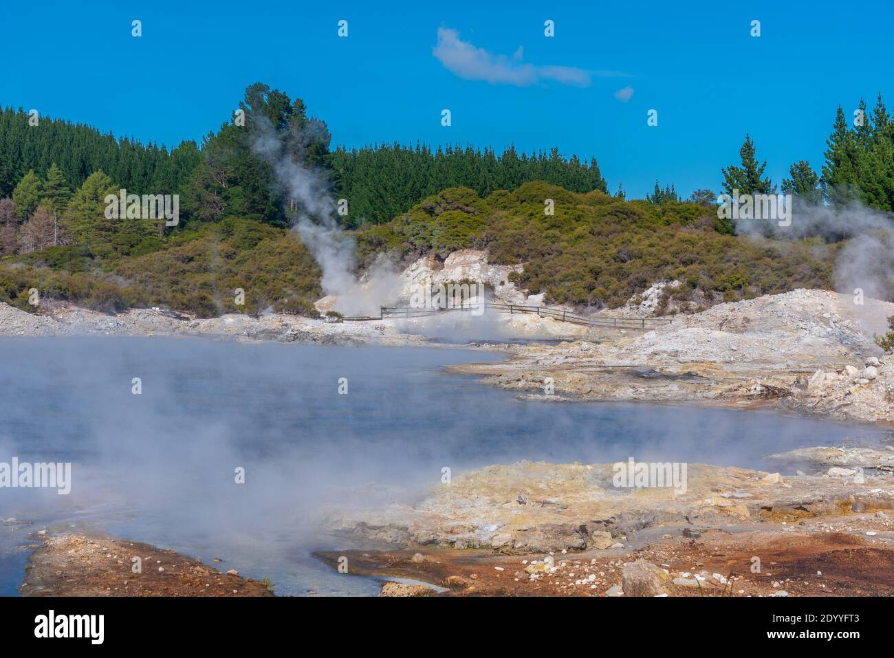 Hell's Gate Geothermal Reserve in New Zealand Stock Photo - Alamy