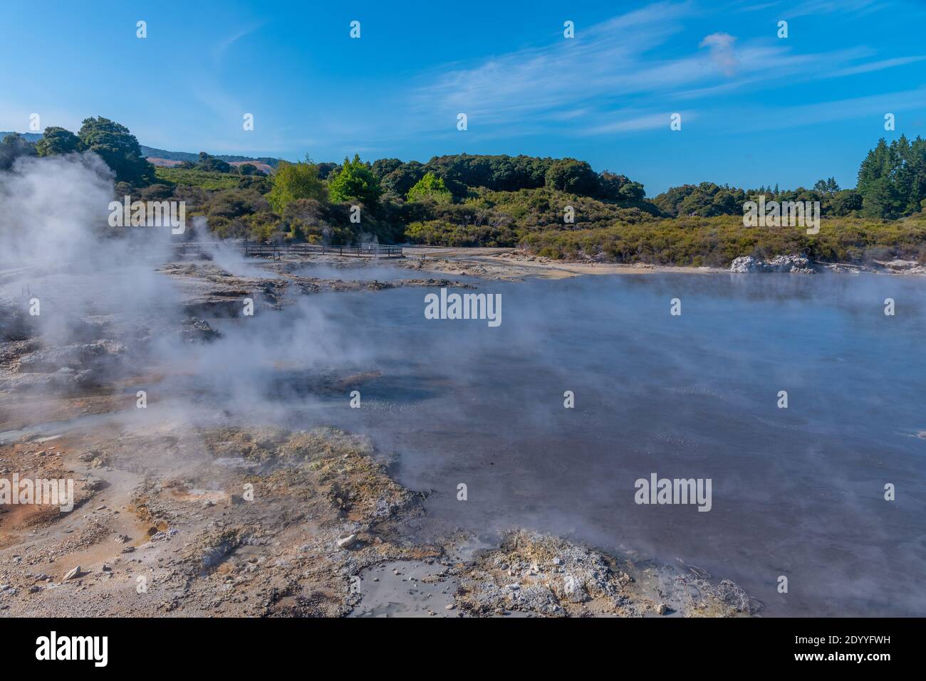 Hell's Gate Geothermal Reserve in New Zealand Stock Photo - Alamy