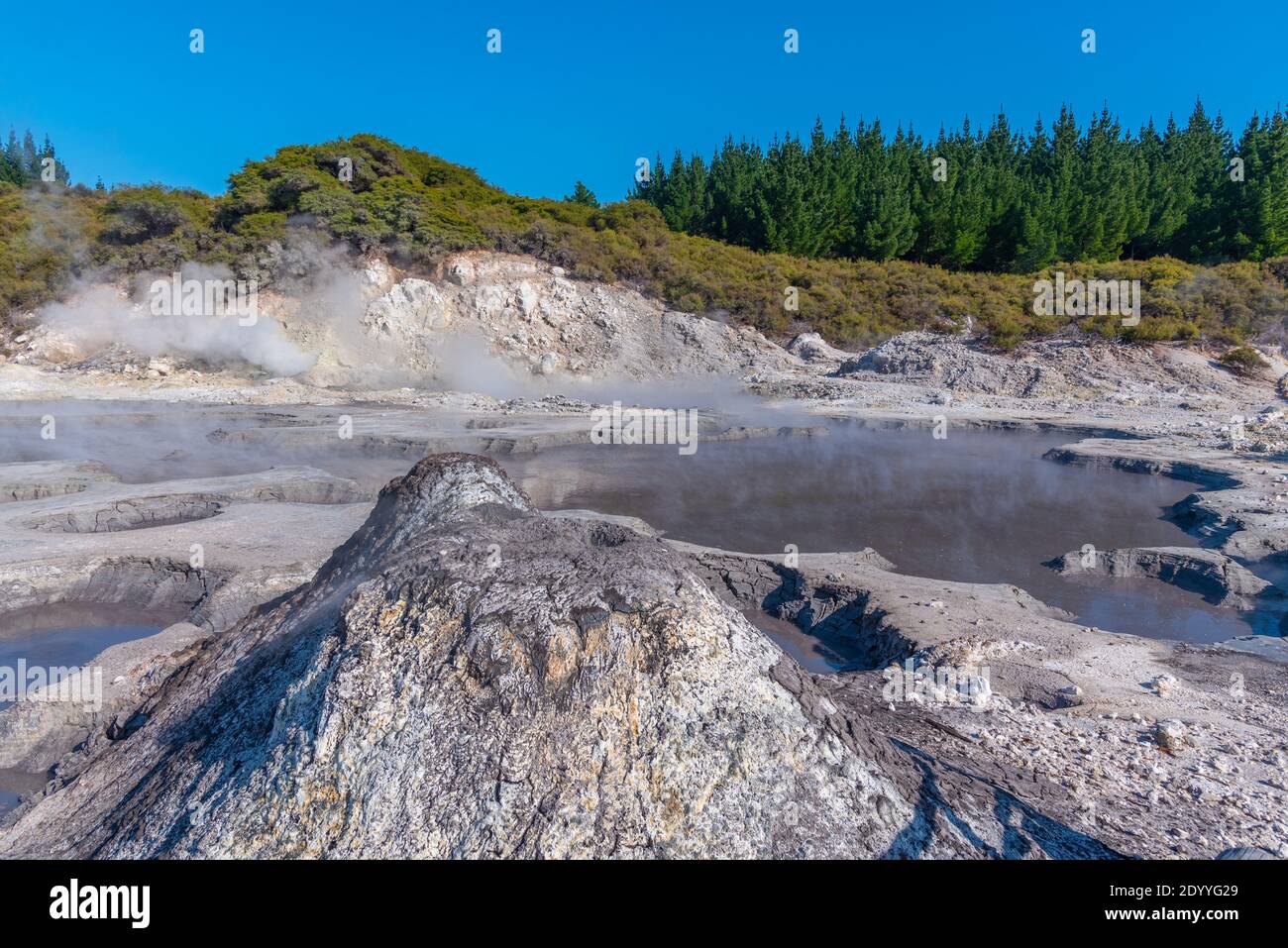 Mud volcano at Hell's Gate Geothermal Reserve in New Zealand Stock ...