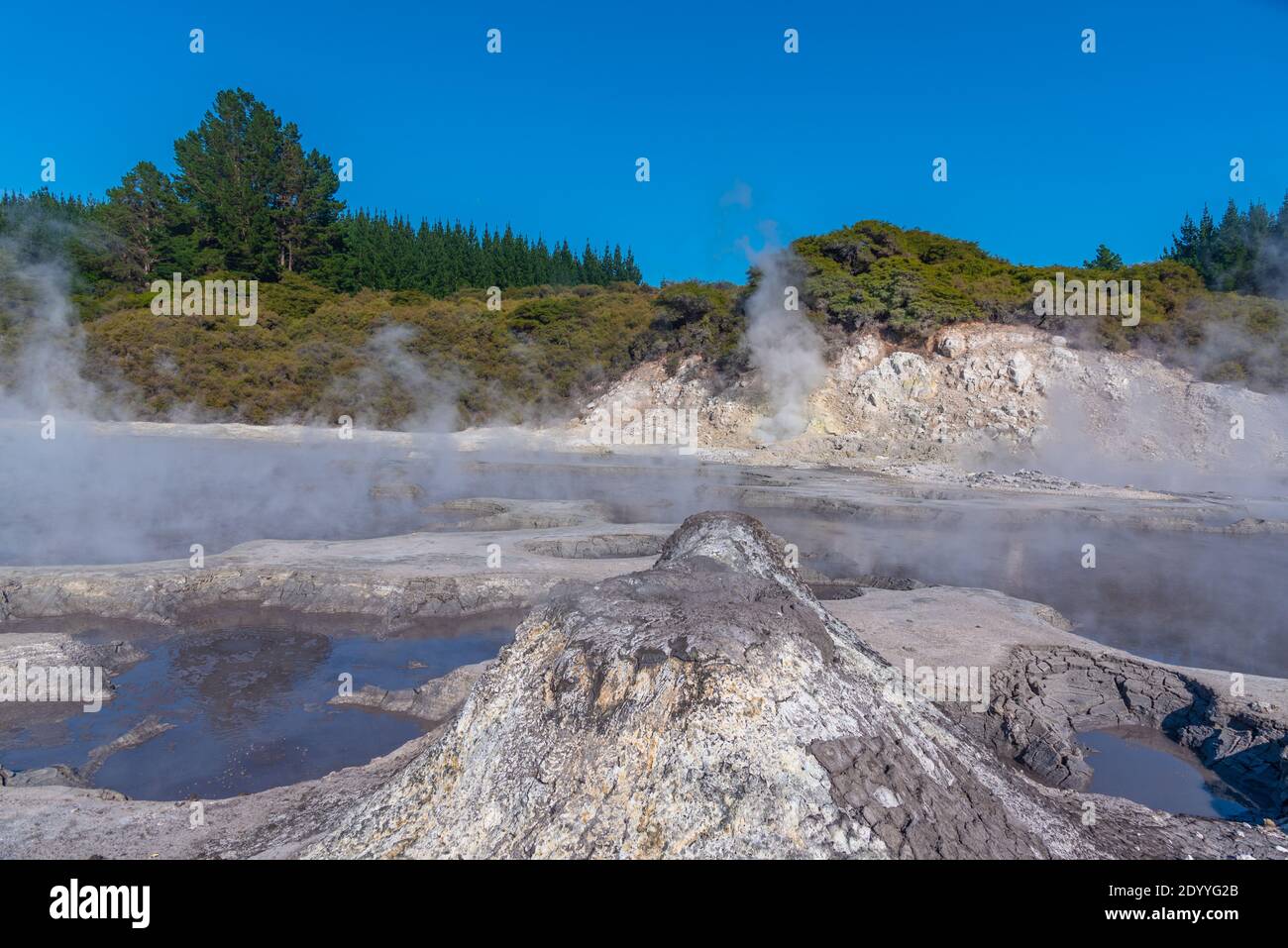 Mud volcano at Hell's Gate Geothermal Reserve in New Zealand Stock ...